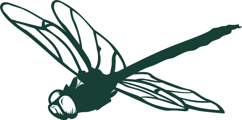 About Morphum Environmental